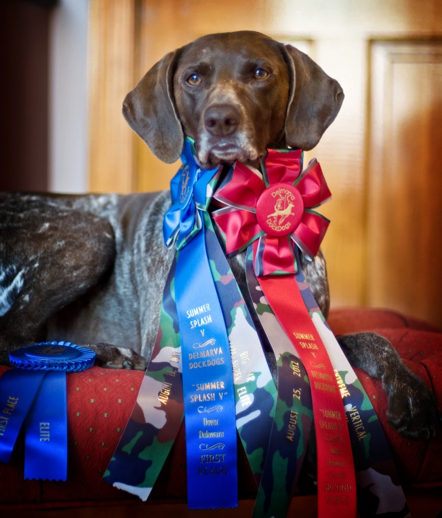 August | 2012 | The Little GSP