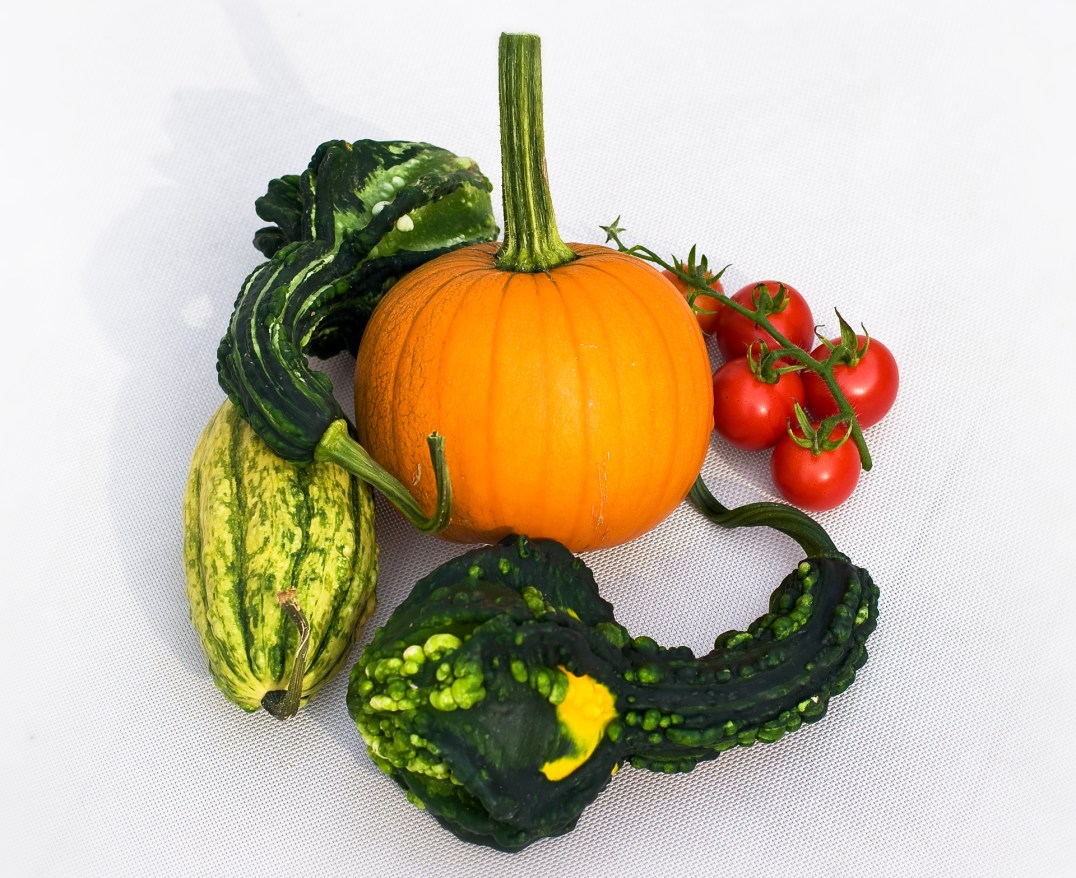 vegetable garden | The Little GSP