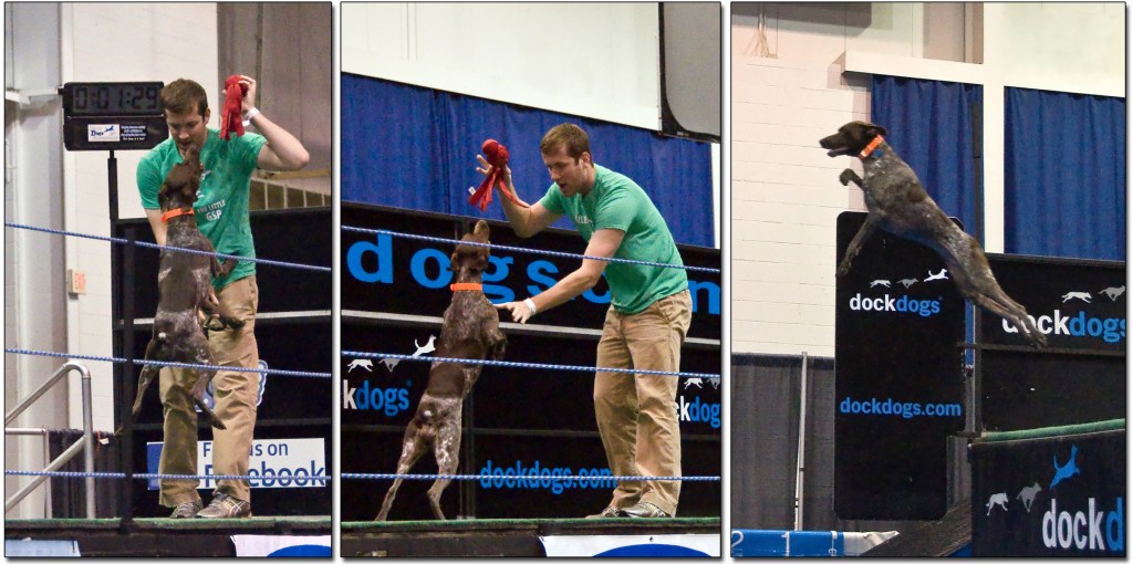 November | 2012 | The Little GSP