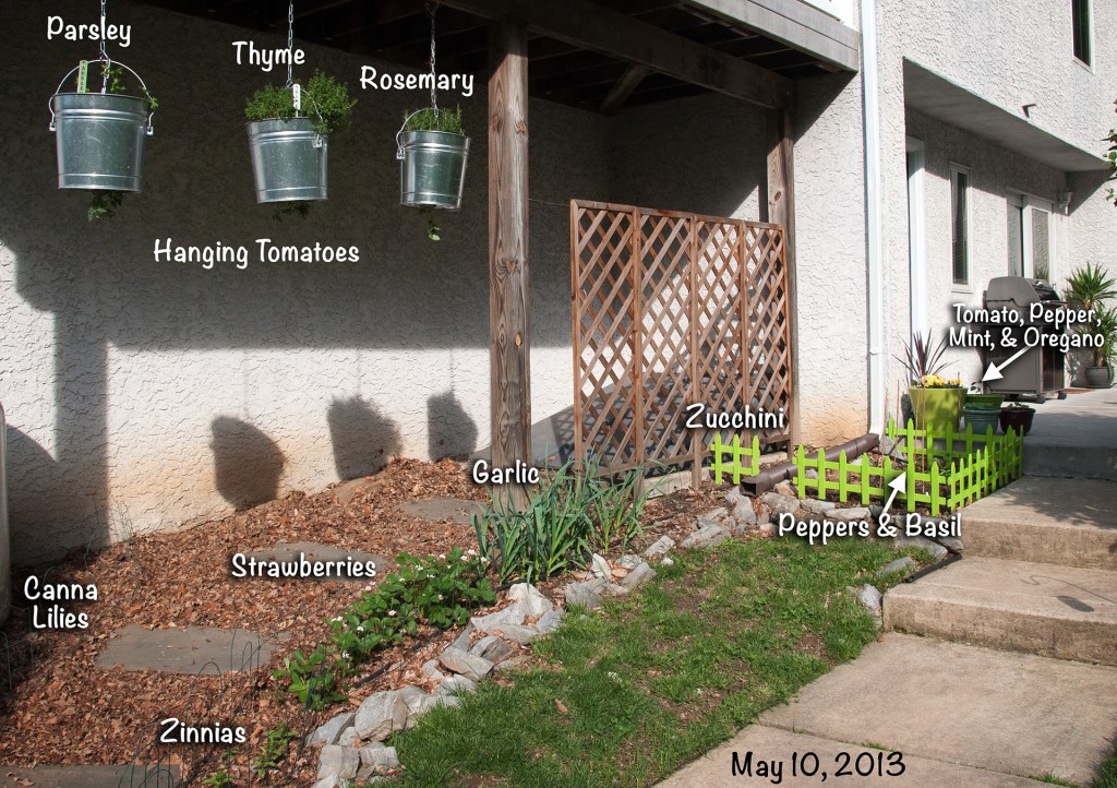 vegetable garden | The Little GSP