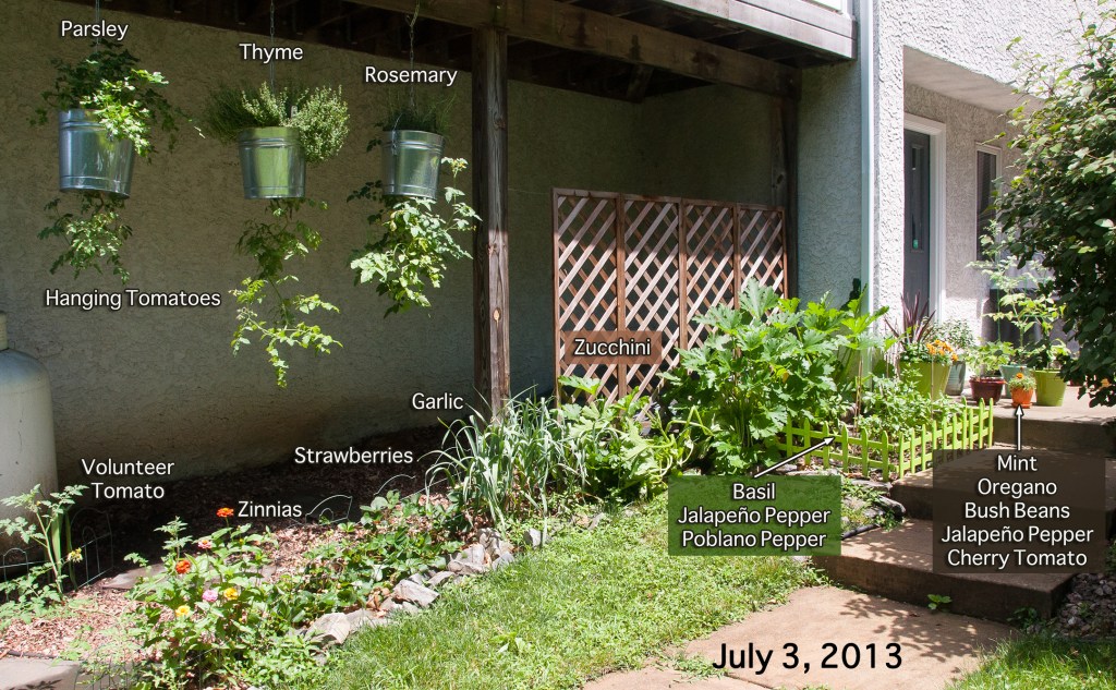 vegetable garden | The Little GSP