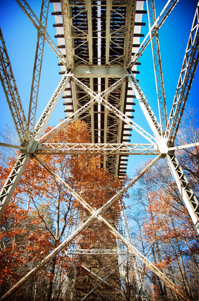 Piper goes Viral after hiking Crum Woods | The Little GSP