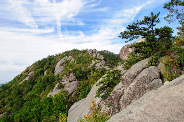 Climbing Old Rag Mountain | The Little GSP