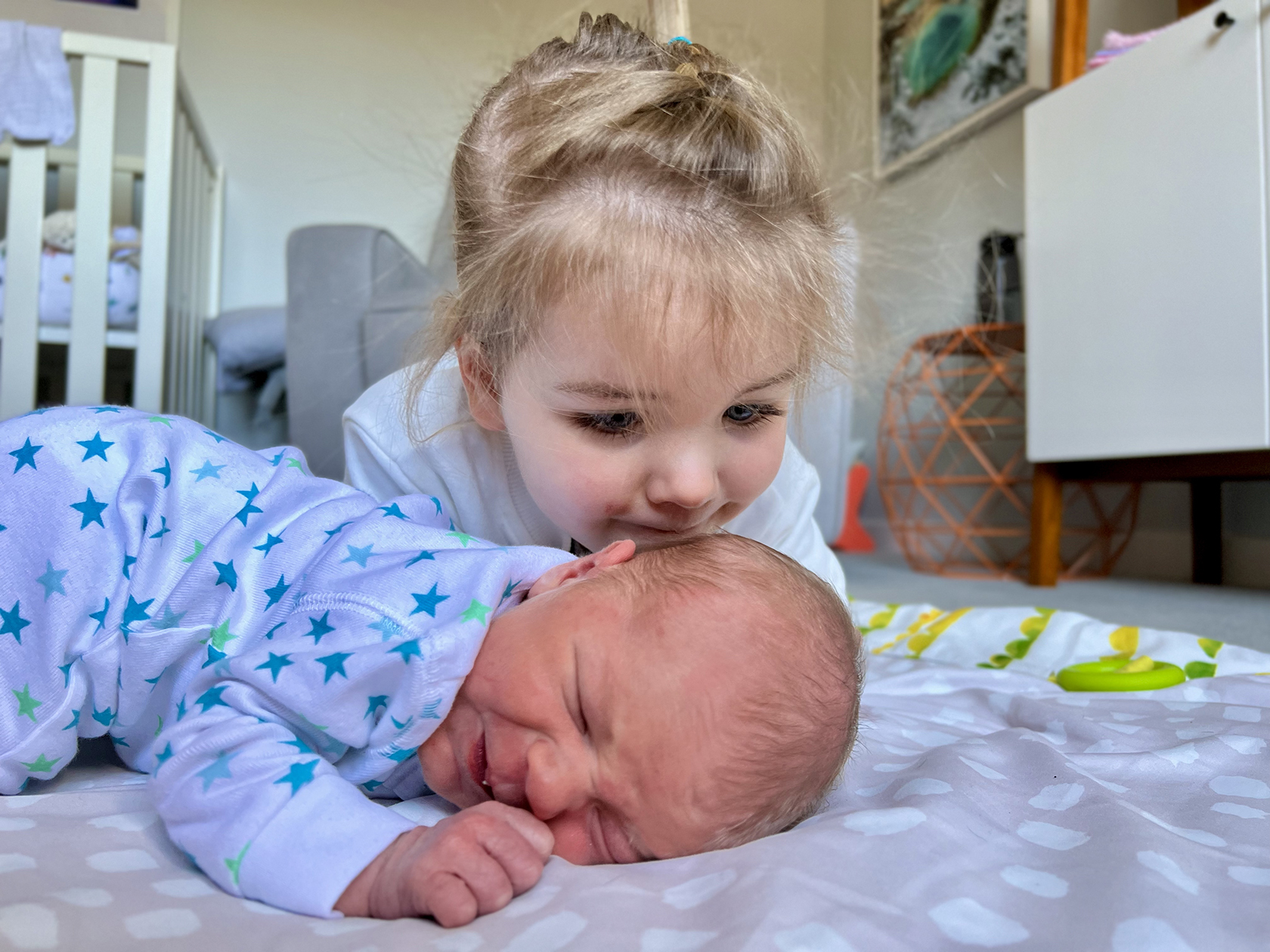 The Little GSP | The Adventures of Annie, Matt & Piper