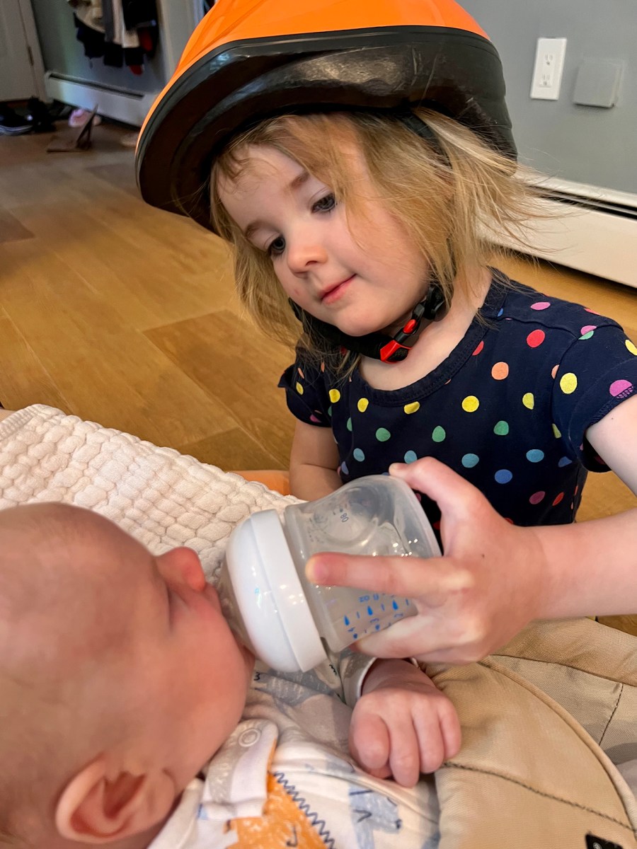 The Little GSP | The Adventures of Annie, Matt & Piper